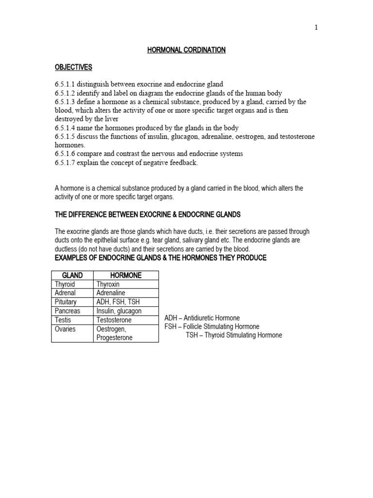 Hormonal Coordination | PDF | Endocrine System | Hormone