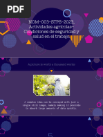 Nom 003 STPS 1999 | PDF | Pesticida | Fertilizante