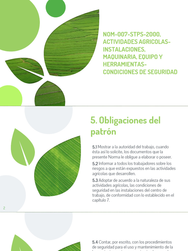 Nom 007 STPS 2000 | PDF