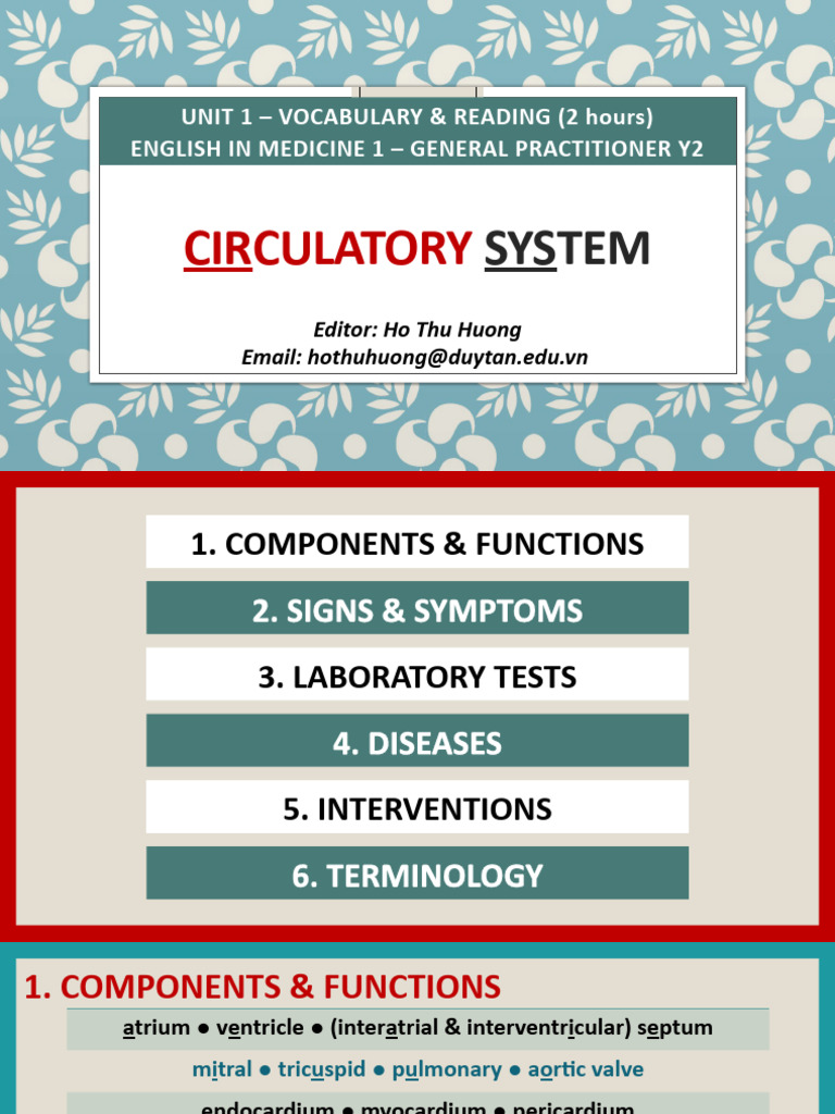 235 2024S U1 Circulatory VOC | PDF | Heart | Heart Valve