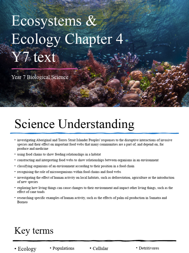 01 Ecosystems | PDF | Ecosystem | Food Web