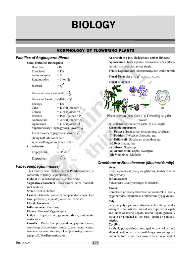 1 - Morphology of Flowering Plants | PDF