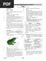 Anatomy of Frogs: Internal Structures | PDF | Digestion | Frog