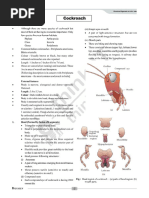 Cockroach Ncert | PDF
