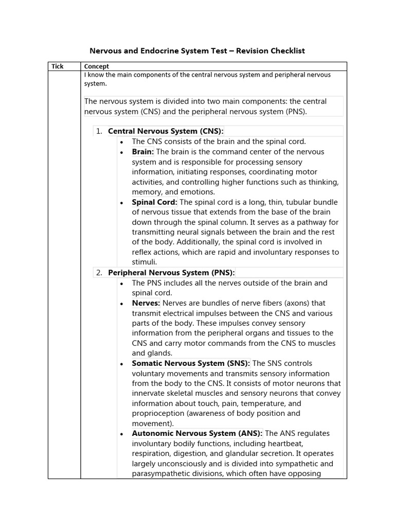 Nervous and Endocrine System Test Checklist | PDF | Nervous System | Neuron