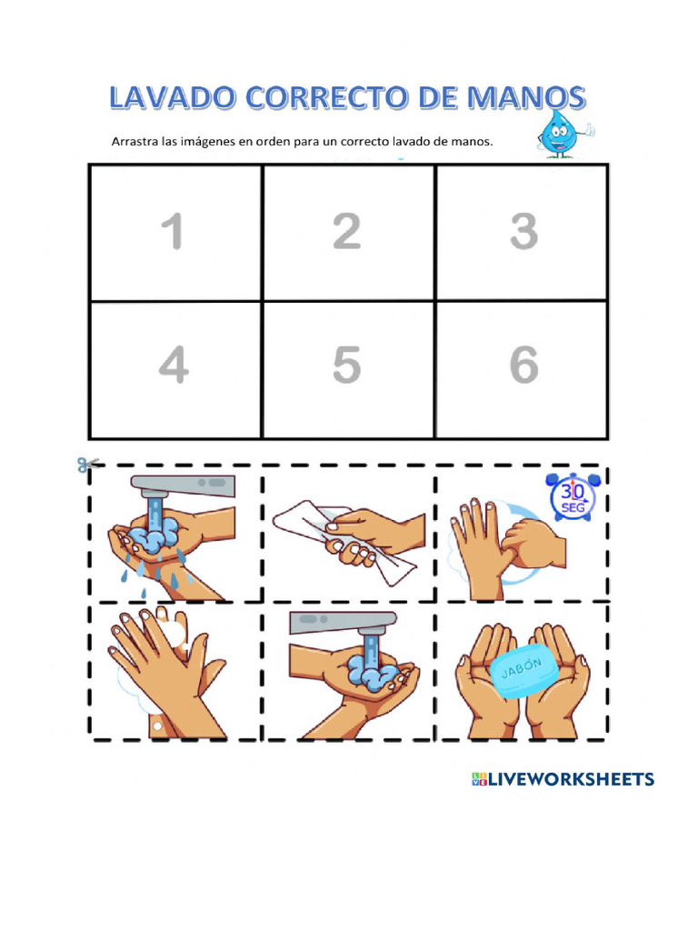 Ficha Lavado de Manos | PDF