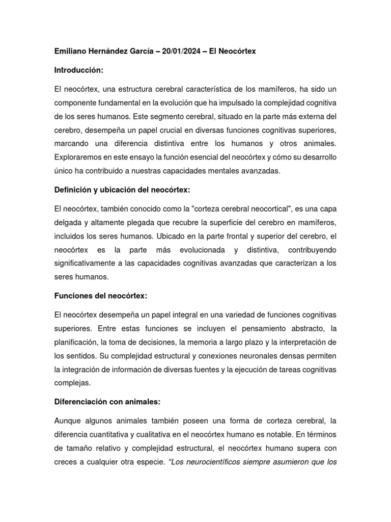 El Neocortex | PDF | Neocortex | Corteza cerebral