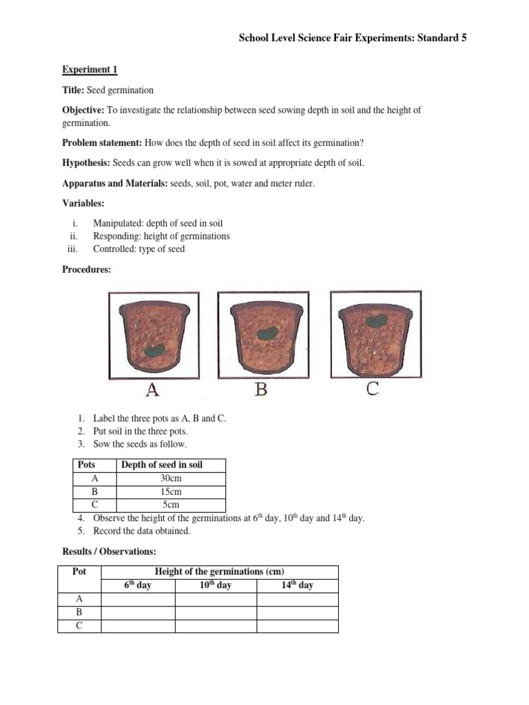 Science Fair Experiments for Grade 5 | PDF | Series And Parallel ...