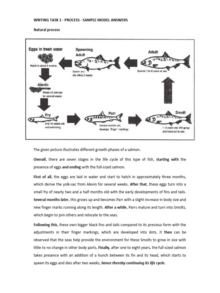 Task1 Process Sample | PDF