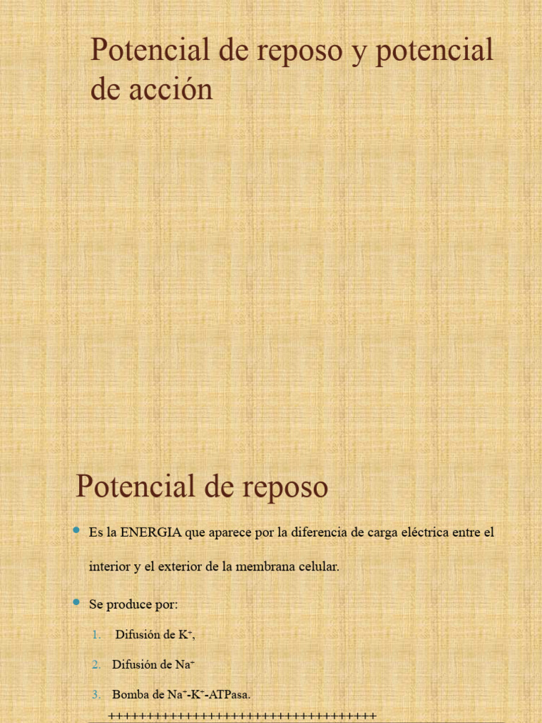 Potencial de Reposo y Potencial de Acción | PDF | Potencial de acción ...