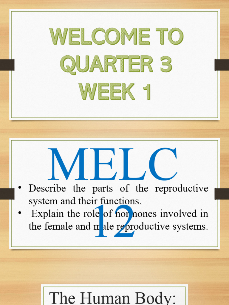 Human Reproductive System | PDF | Reproductive System | Uterus