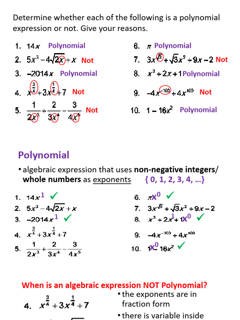 Q2 Week 1 MELC 13 Illustrates Polynomial Functions | PDF | Polynomial ...