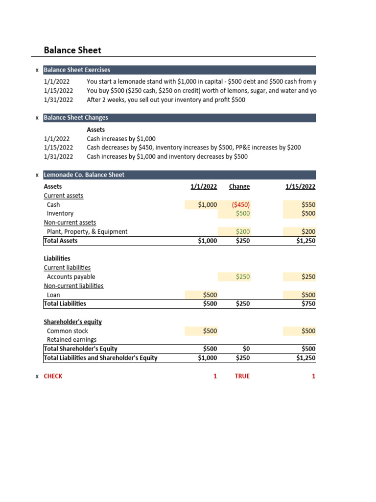 Balance Sheet For Beginners - Exercise | PDF | Balance Sheet | Equity ...