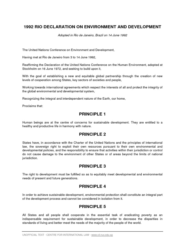 1992 Rio Declaration Principles Summary | PDF | Sustainable Development ...