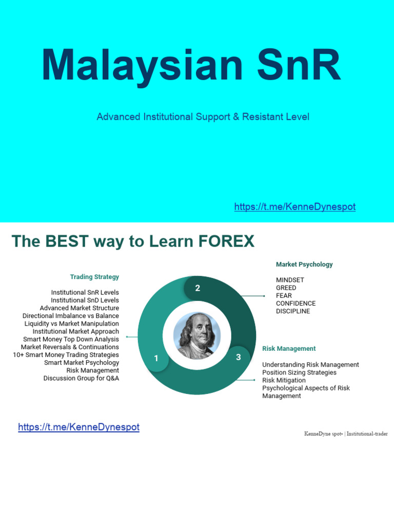 Malaysian SNR (Institutional) | PDF | Economics | Business