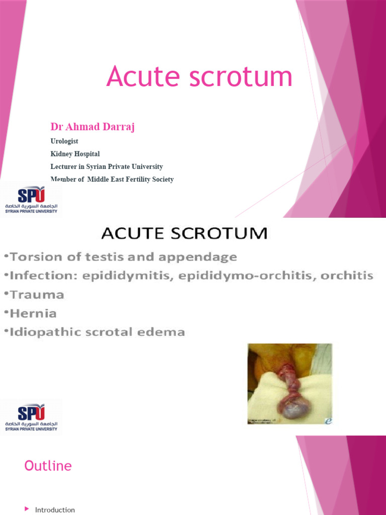 Acute Scrotum | PDF | Diseases And Disorders | Medical Specialties