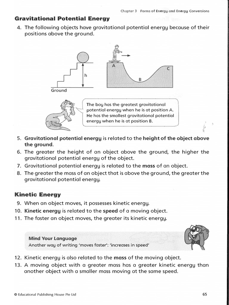 Forms of Energy | PDF | Potential Energy | Kinetic Energy