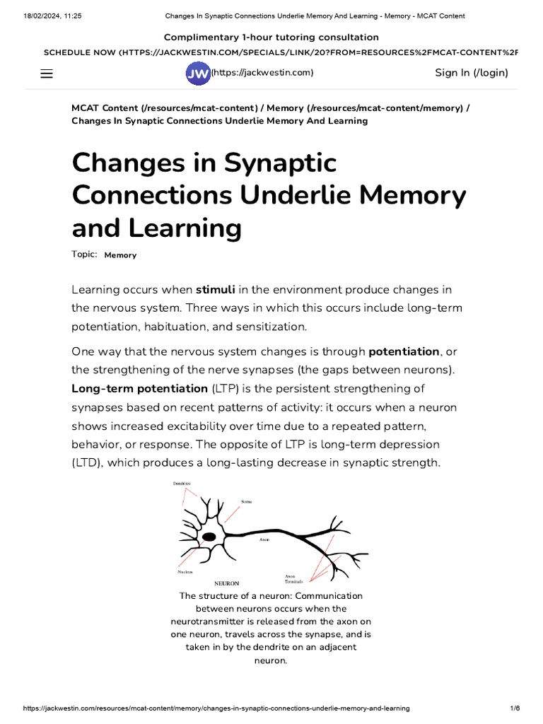 Changes in Synaptic Connections Underlie Memory and Learning - Memory ... Changes in Synaptic Connections Underlie Memory and Learning - Memory ...