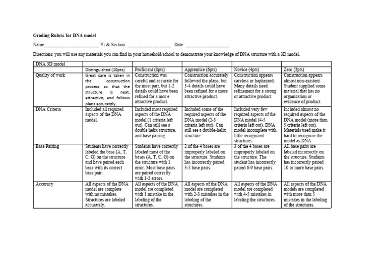 Grading Rubric For DNA Model | PDF | Base Pair | Dna