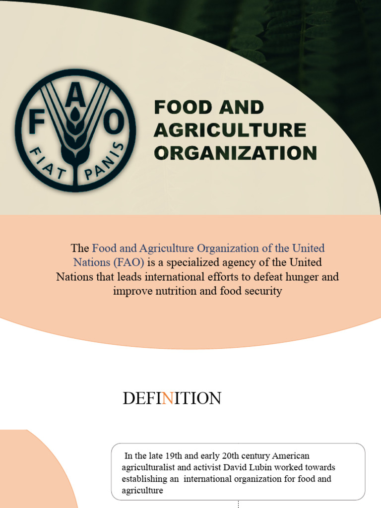 Fao | PDF | Food And Agriculture Organization | Economies