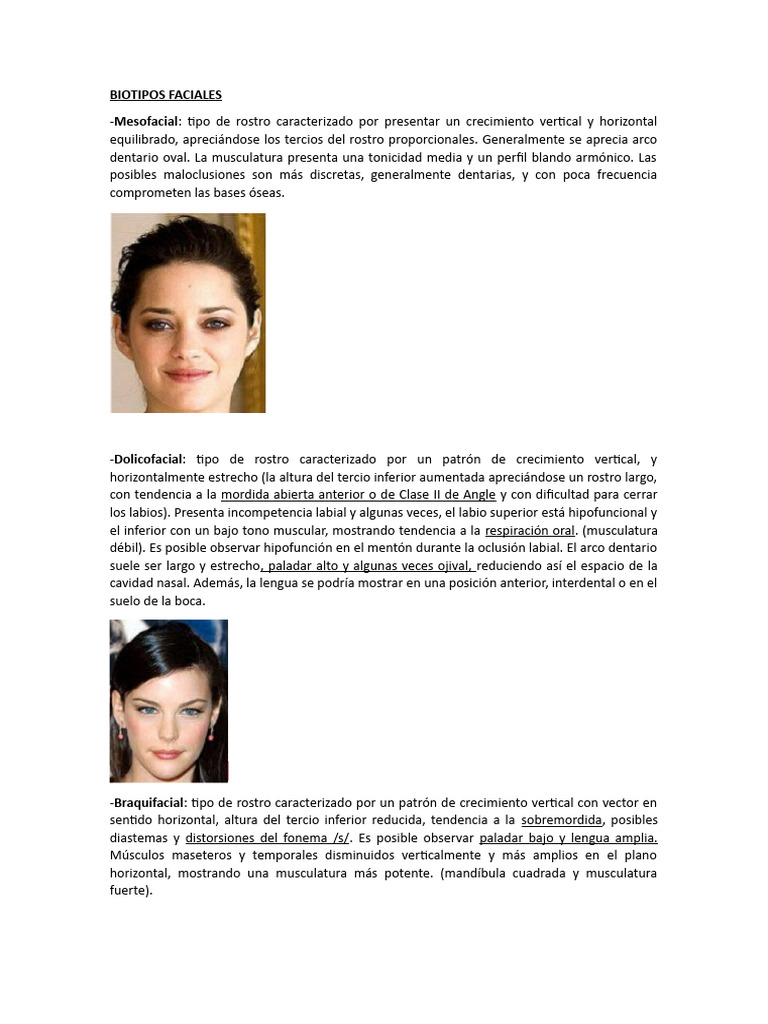 Biotipos y Perfiles Faciales | PDF