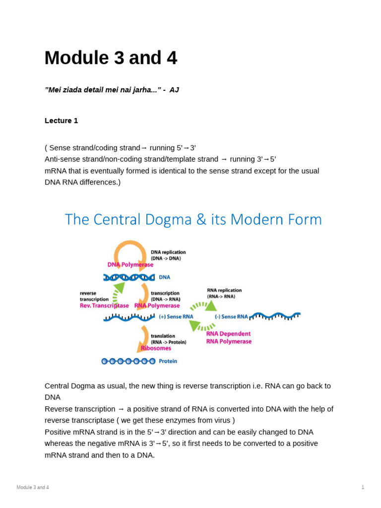 Module - 3&4 Notes | PDF | Open Reading Frame | Sense (Molecular Biology)