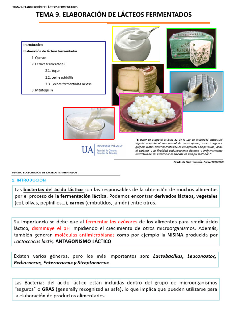 Tema 9. ELABORACIÓN. LÁCTEOS | PDF | Yogur | Queso
