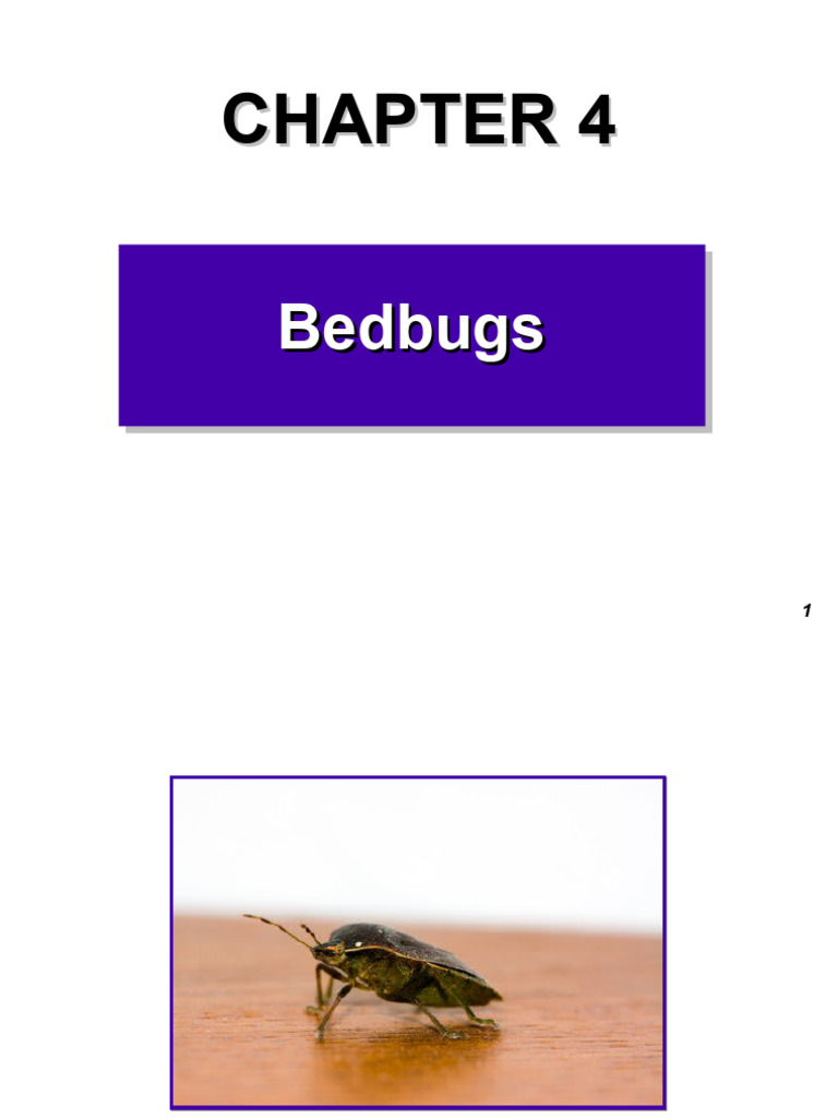 Philadelphia Bed Bug Concerns | PDF