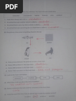 Power Point Science Lesson Grade 6 - Light | PDF | Reflection (Physics ...