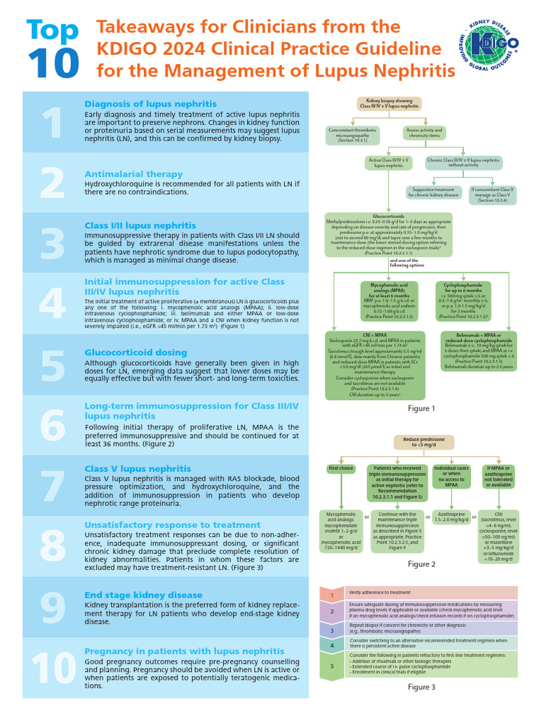 KDIGO 2024 Lupus Nephritis Guideline Top 10 Takeaways For Clinicians ...