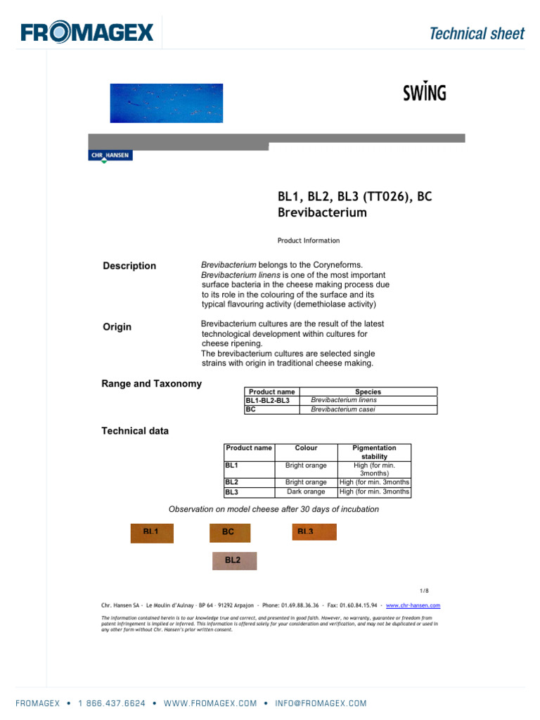 CHR Hansen Brand, Brevibacterium Linens BL1, BL2 BL3, BC | PDF | Protease