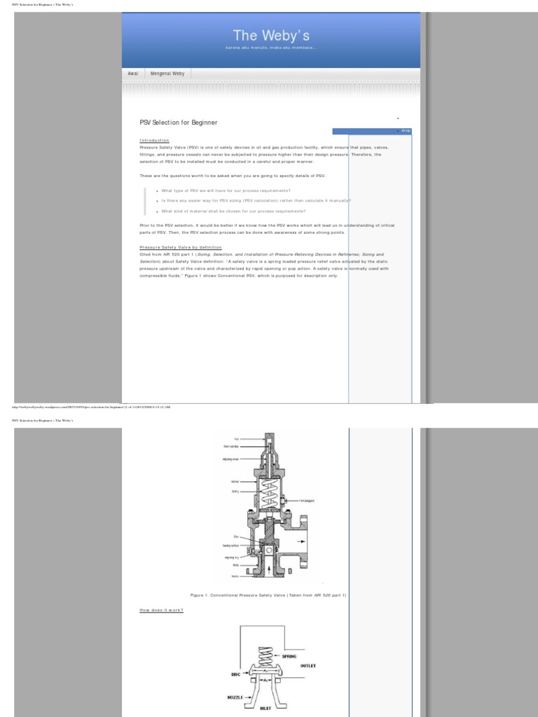 PSV Selection For Beginner The Weby's | PDF | Valve | Pressure