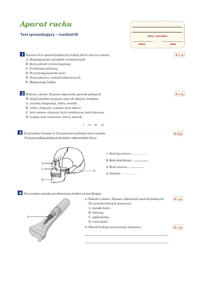 Biologia Klasa 7 Aparat Ruchu | PDF