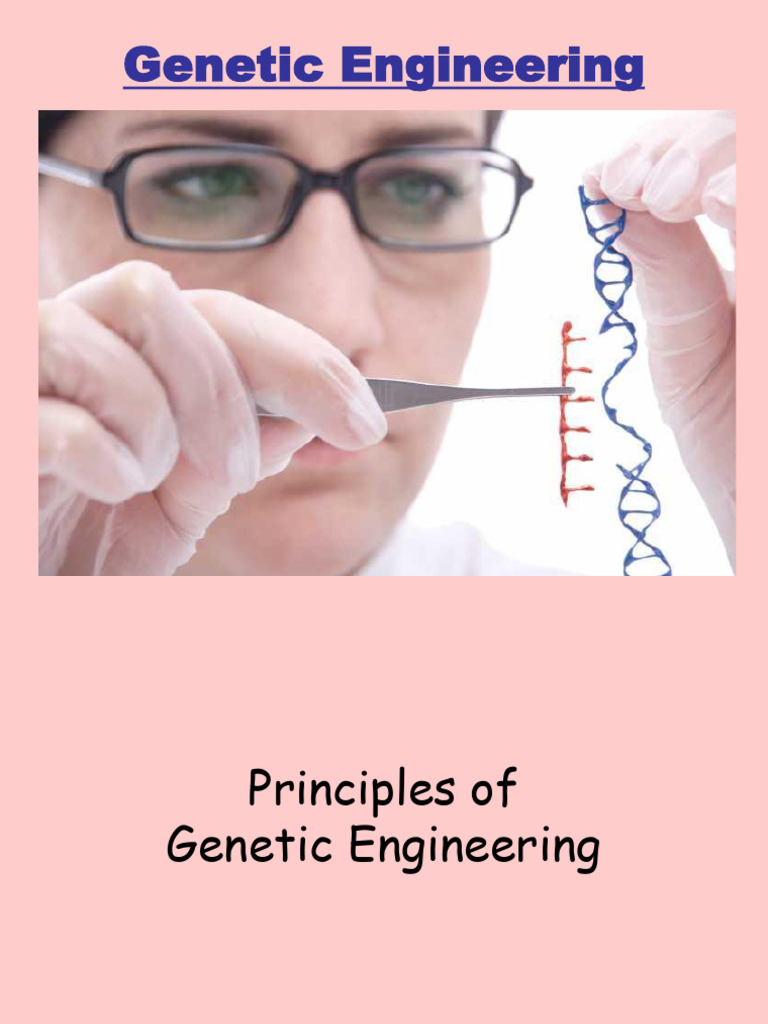 Genetic Engineering | PDF | Genetic Engineering | Ploidy
