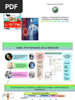 Calendario PNI 2024 | PDF | Vacunas | Especialidades Medicas
