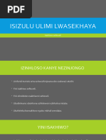 Isikhangisi | PDF