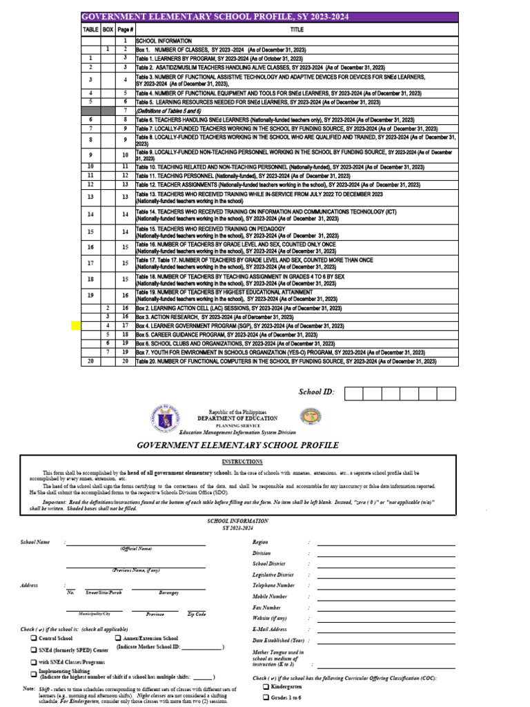 Government Elementary School Profile 2023 | PDF | Visual Impairment ...
