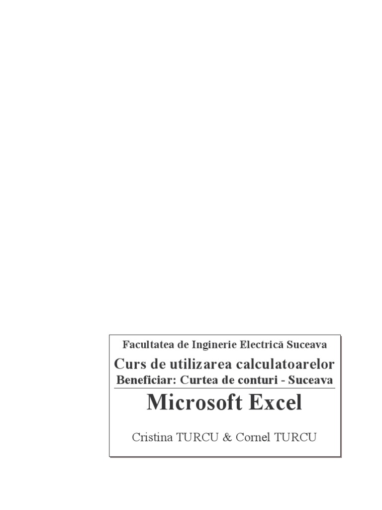 Curs Excel in Limba Romana | PDF