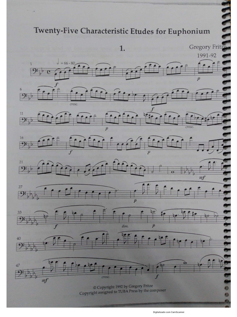 Gregory Fritze | PDF