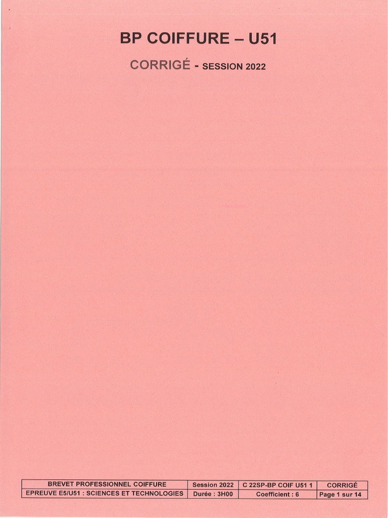 BP-2022-U51 Technologie Corrige | PDF