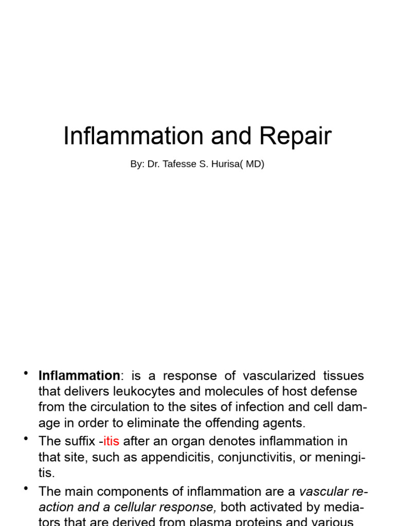 Inflammation and Tissue Repair | PDF | Inflammation | Macrophage