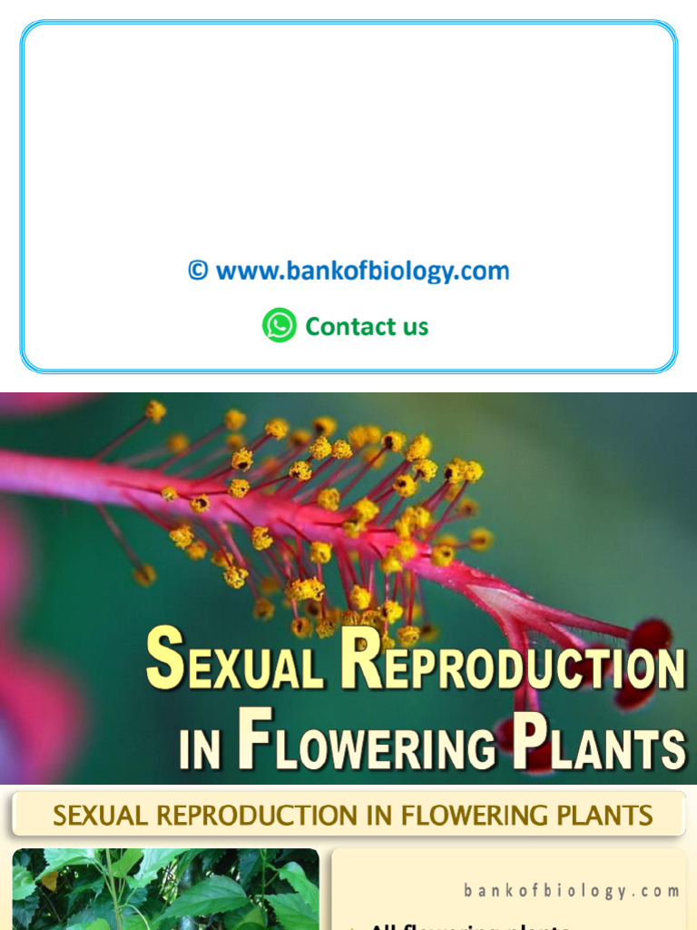 CH 2 Plants Reproduction PPT Part 1 - 1600 - PDF - Gdrive | PDF