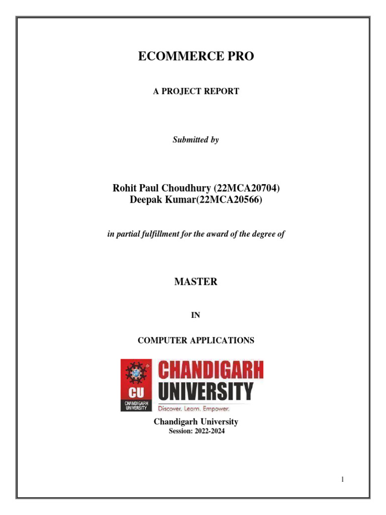 Ecommerce Report | PDF | E Commerce | World Wide Web