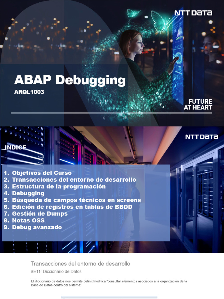 ARQL1003 ABAP Debugging | PDF | Programa de computadora | Programación