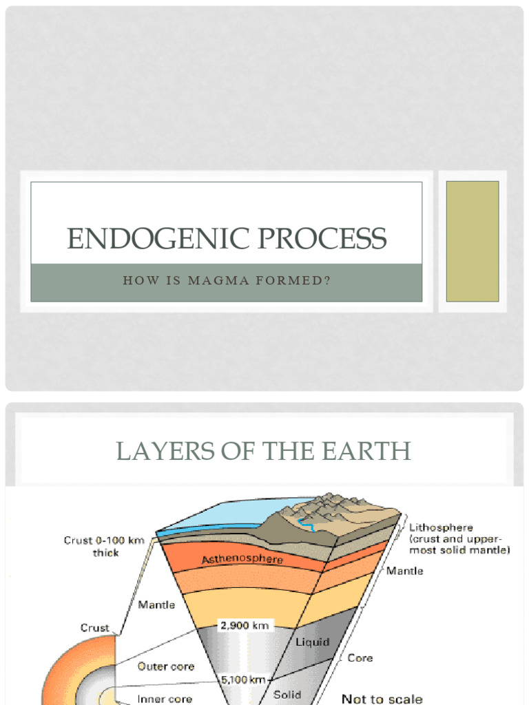 Endogenic Process | PDF