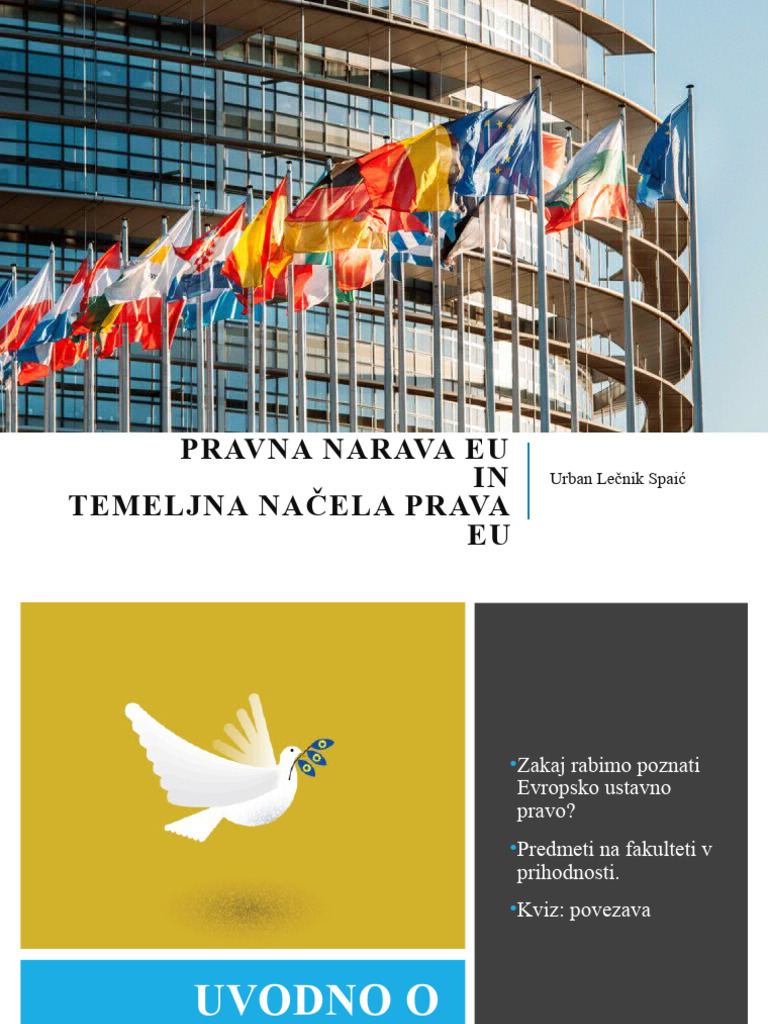 Pravna Narava Eu in Temeljna Načela Prava Eu | PDF