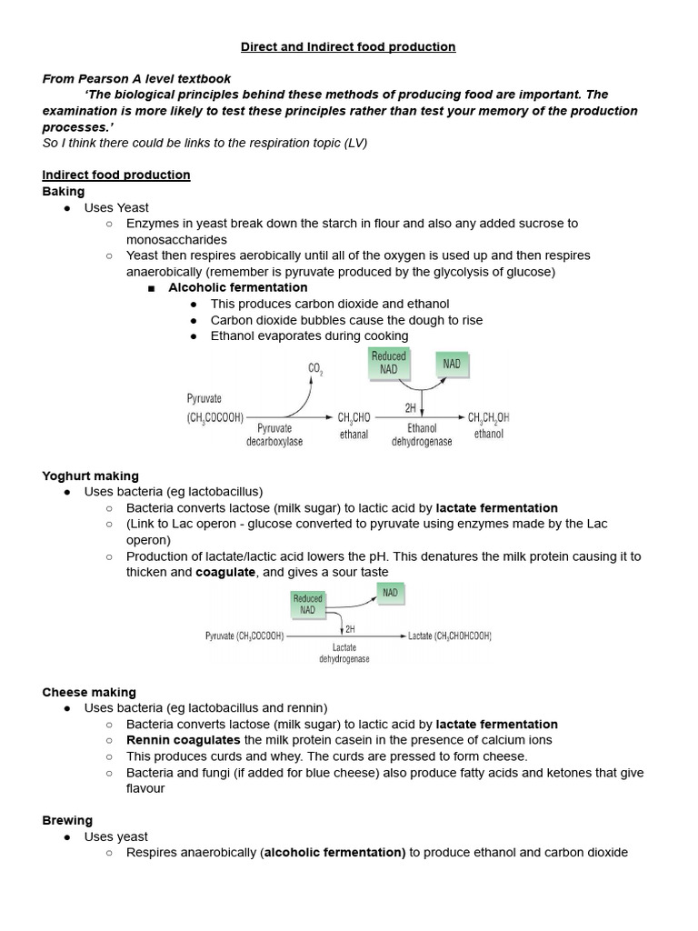 Direct and Indirect Food Production | PDF | Lactic Acid | Fermentation