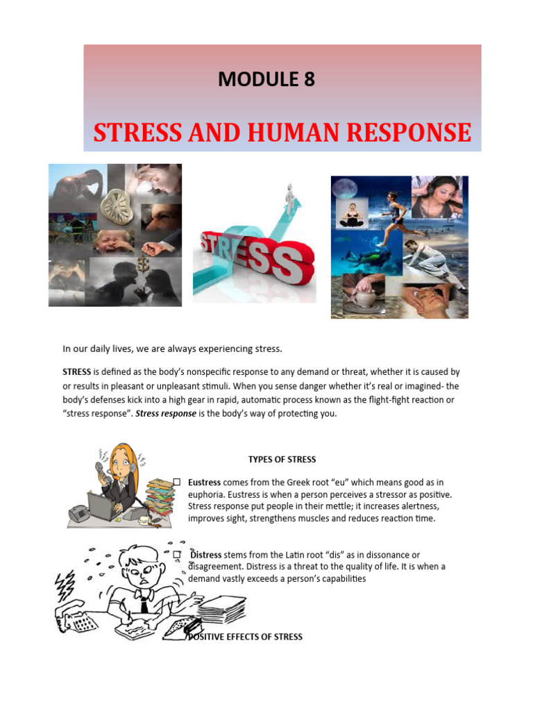 Module 8 Stress 2023 | PDF | Stress (Biology) | Anxiety