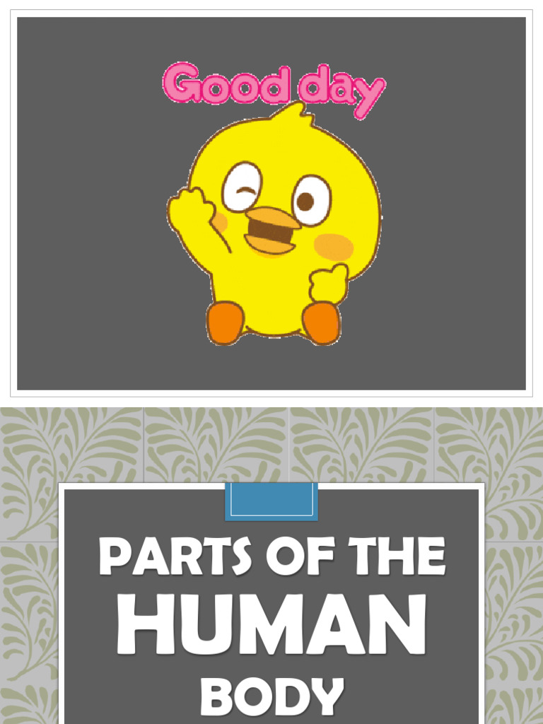 L1 How Does The Human Body Work | PDF | Wellness