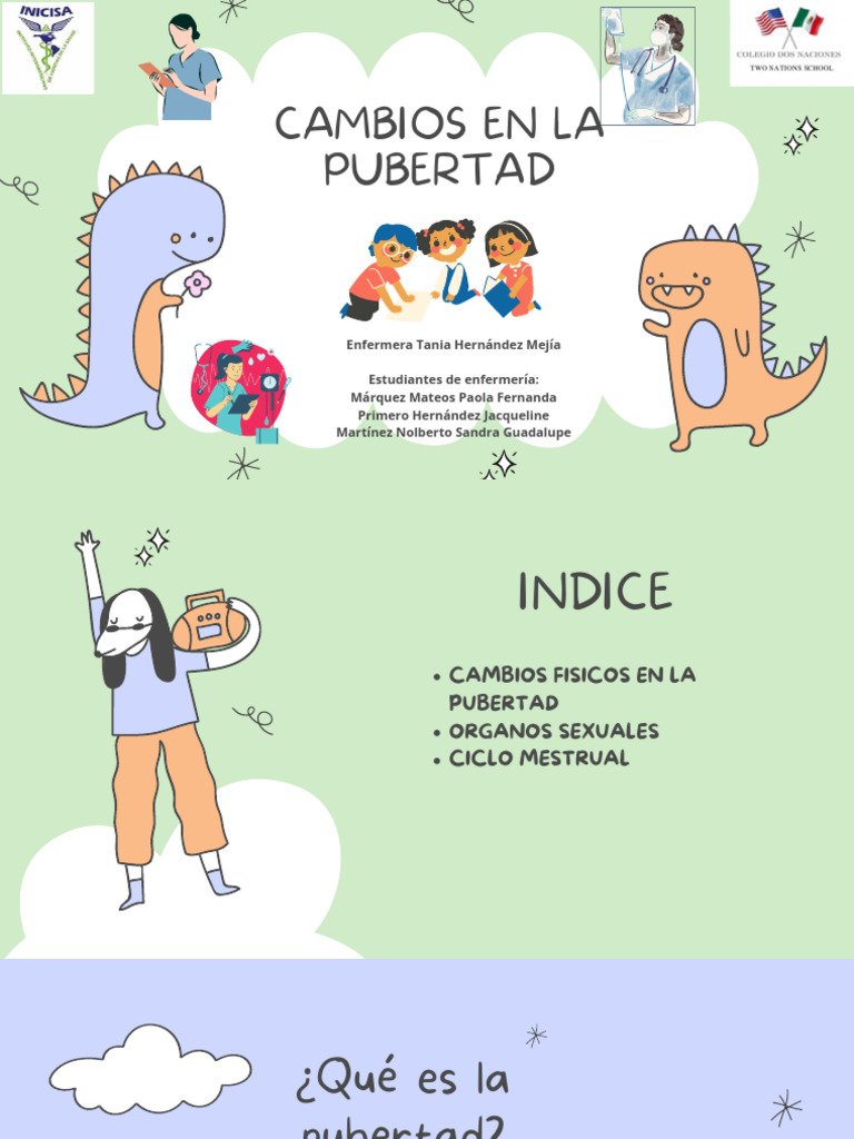 Cambios en La Pubertad | PDF